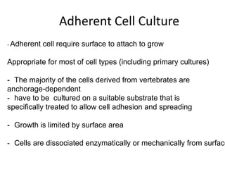 Advanced Cell Culture Lecture 1 - CBNU | PPTX