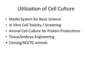 Advanced Cell Culture Lecture 1 - CBNU | PPTX