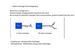 Cell culture 04 | PPT