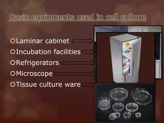Cell culture | PPT