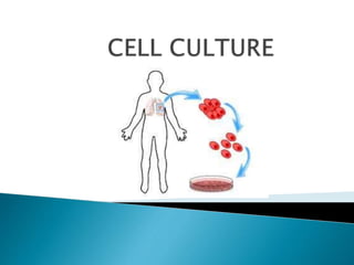 Cell culture | PPT | Free Download