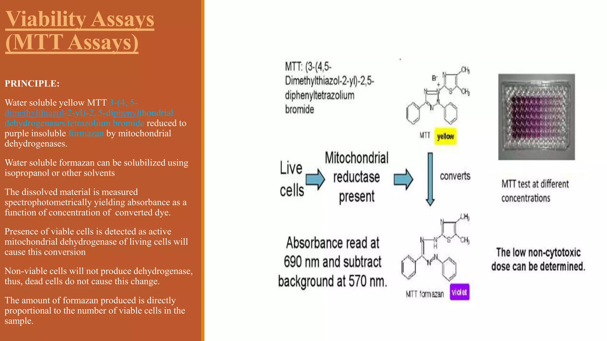 Cell culture technique | PPTX