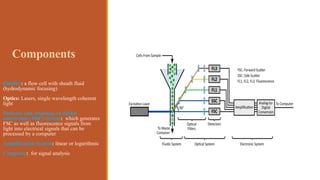 Cell culture technique | PPTX