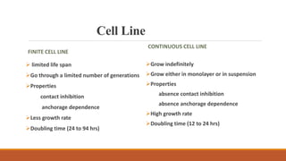 Cell culture technique | PPTX