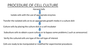 Cell culture | PPTX