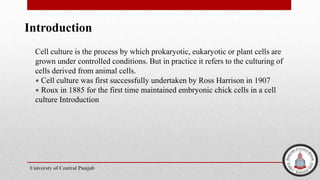 cell culture.pptx