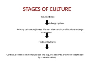 Cell Culture, passaging cell, animal cell lines.ppt