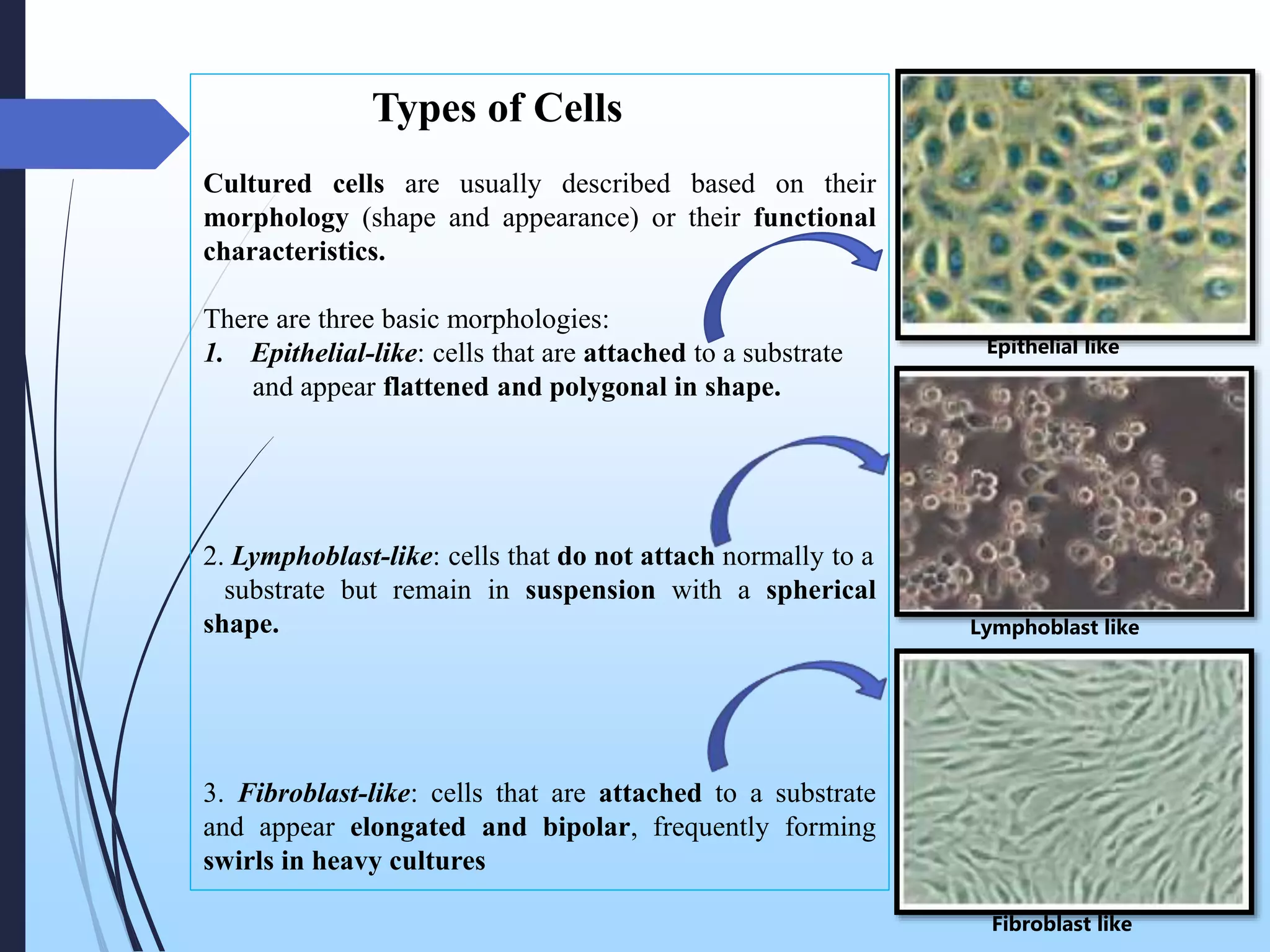 Cell culture 1 | PPTX