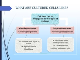 Cell culture 1 | PPTX