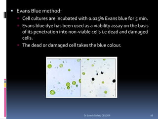 Cell culture | PPTX
