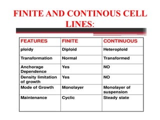 Cell culture and its maintenance | PPTX
