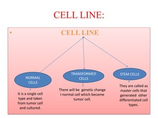 Cell culture and its maintenance | PPTX