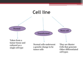 Cell culture and maintenance | PPTX