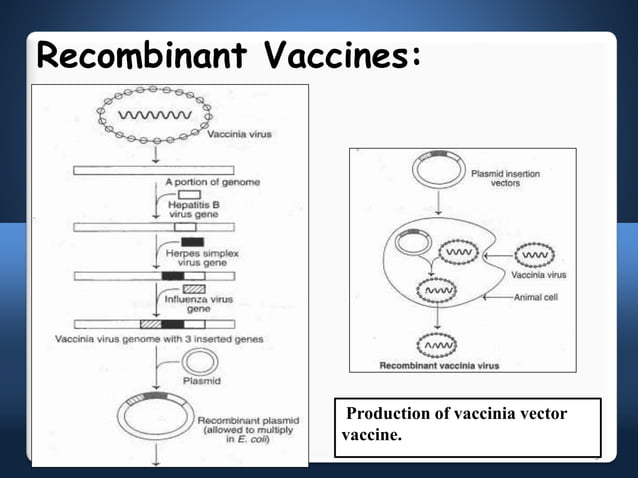 Cell culture based vaccine production anjana.pptx