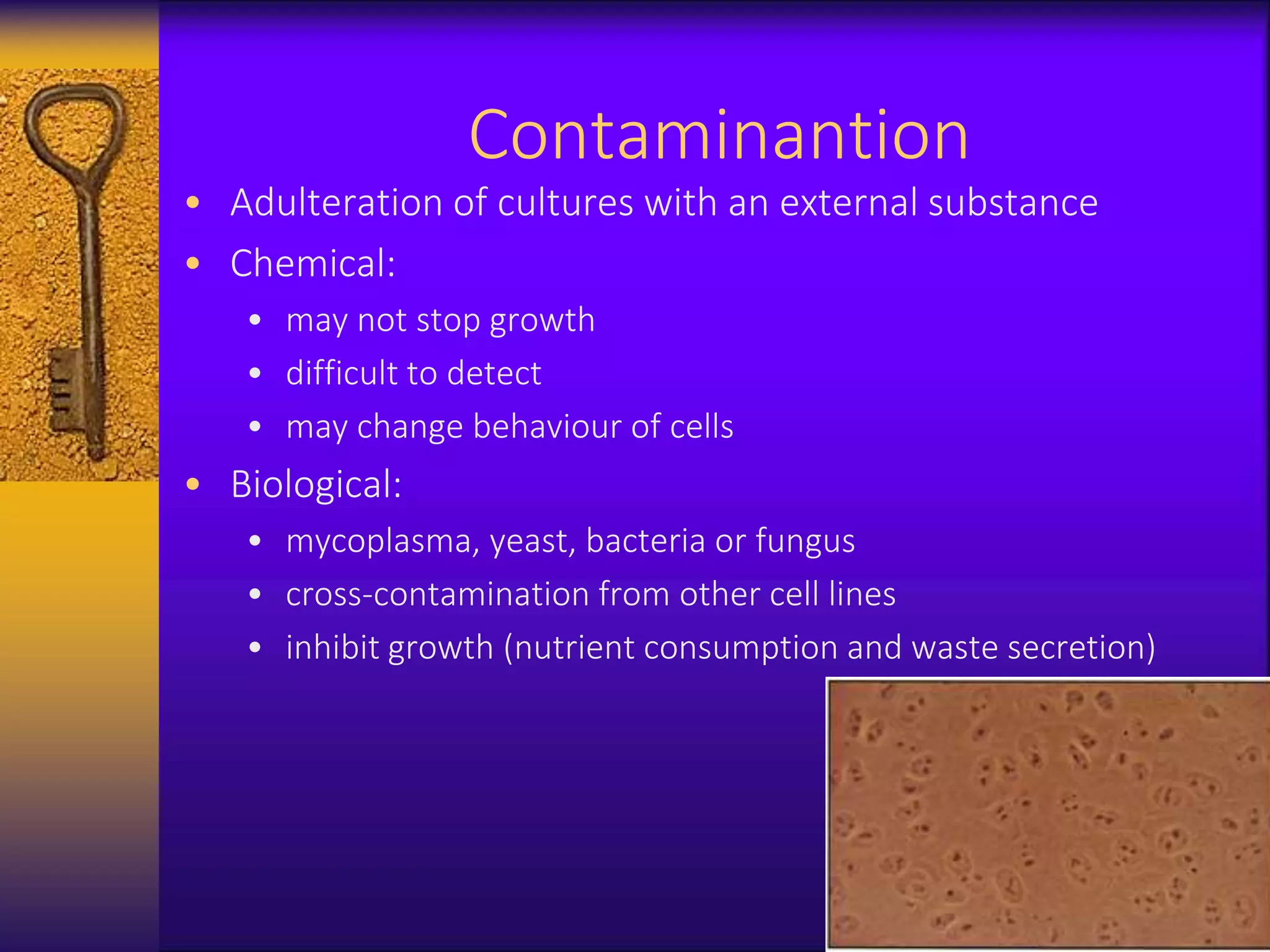 Cell culture basics.pptx