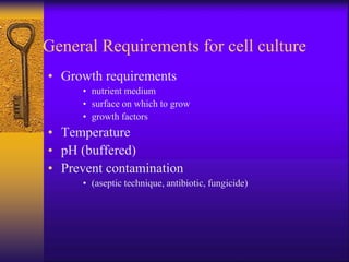 Cell culture basics.pptx