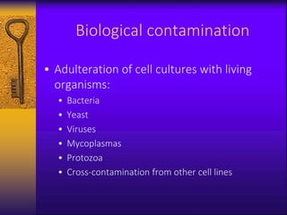Cell culture basics.pptx