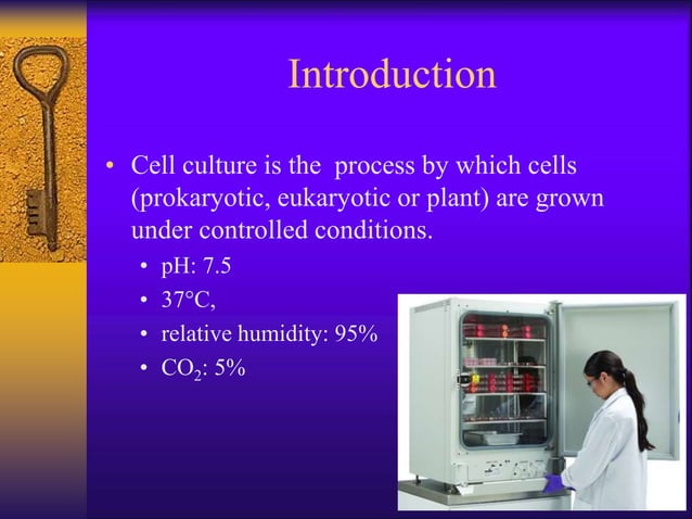 Cell culture basics.pptx