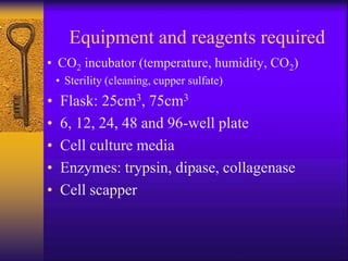 Cell culture basics.pptx