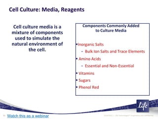 Cell Culture Techniques and Best Practices | PDF