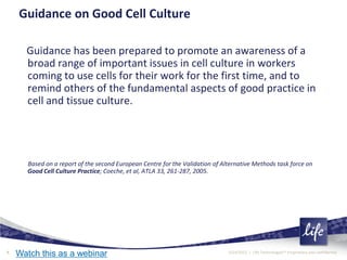 Cell Culture Techniques and Best Practices | PDF