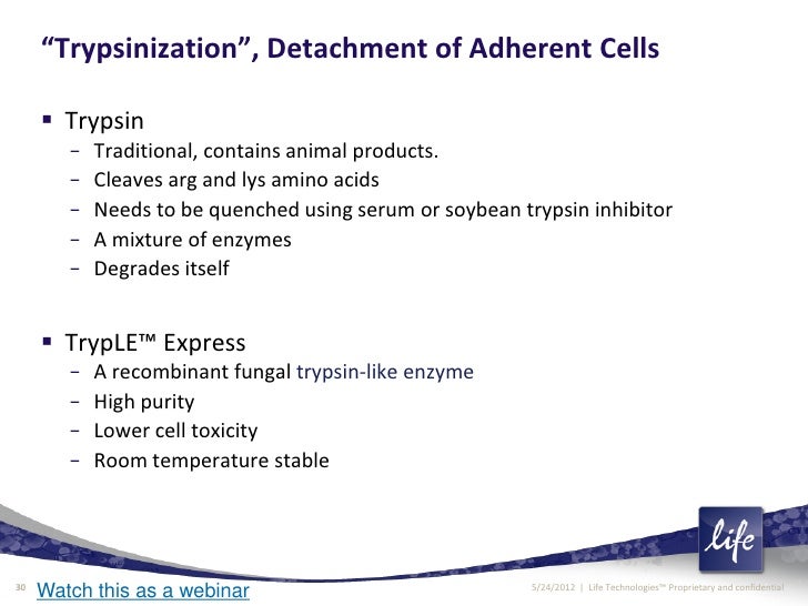 Cell Culture Techniques and Best Practices