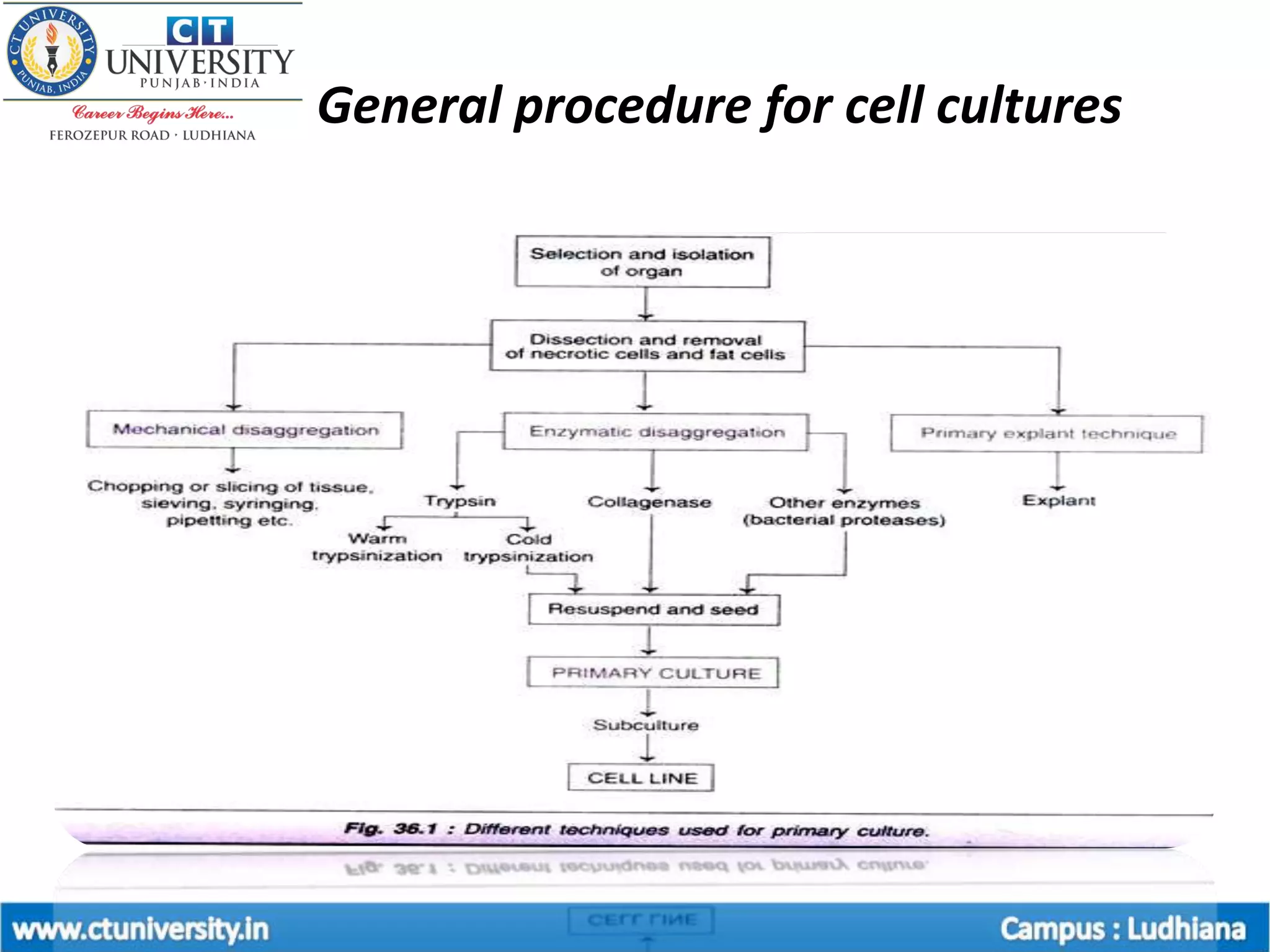 Cell culture and its types | PPTX