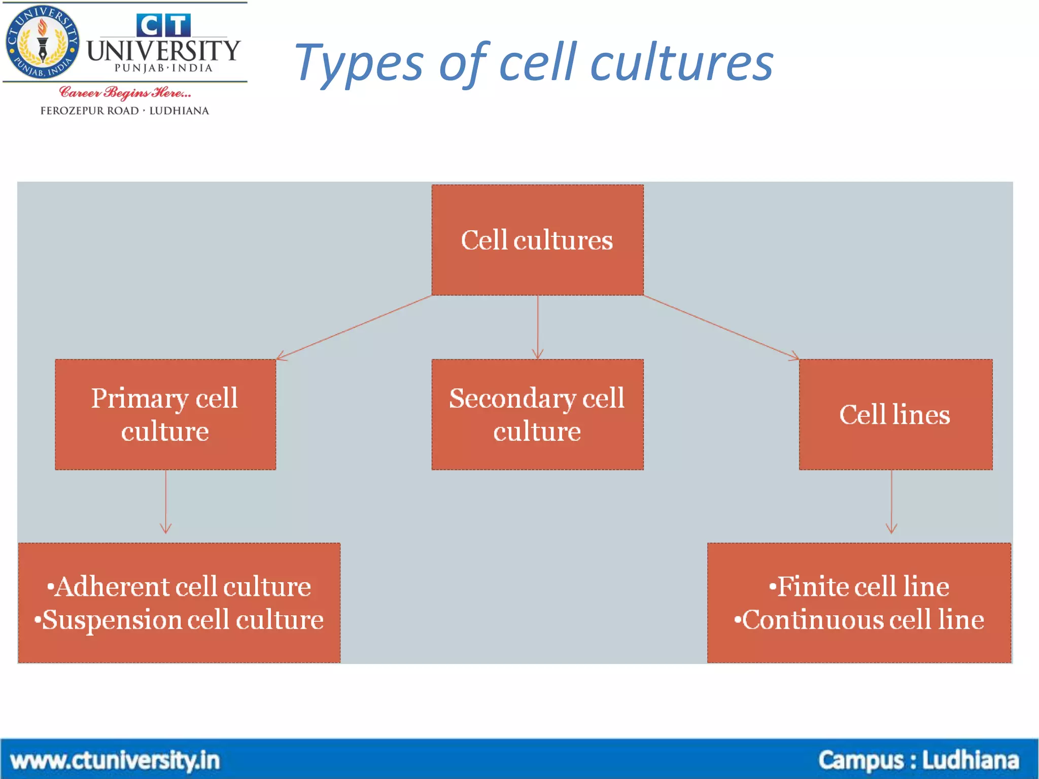 Cell culture and its types | PPTX