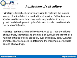 Cell culture and its types | PPTX