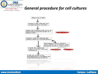 Cell culture and its types | PPT