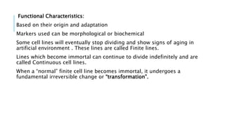 Cell culture in animal biotechnology | PPTX