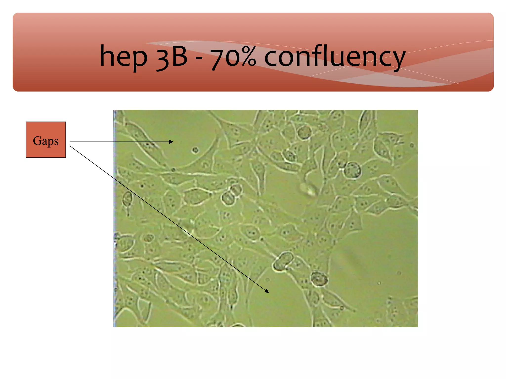 Cell culture introduction | PPT