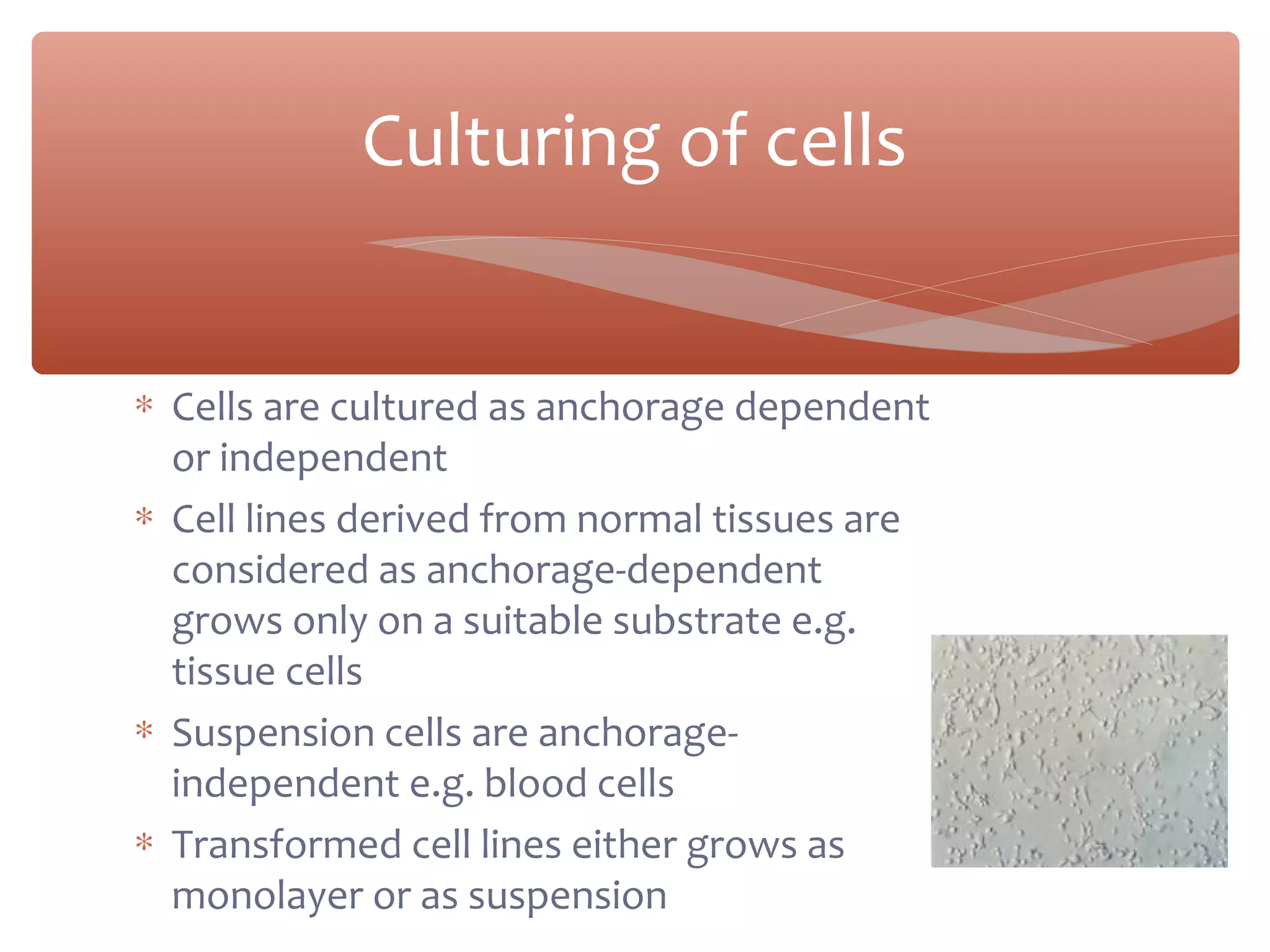 Cell culture introduction | PPT