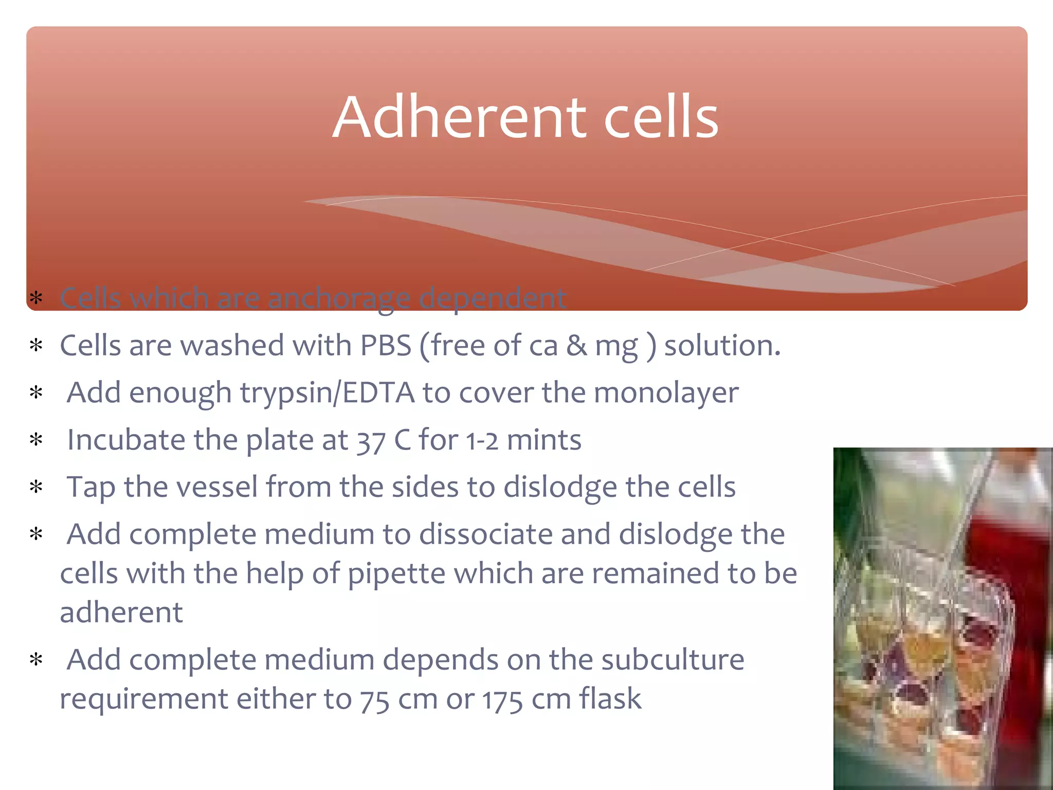 Cell culture introduction | PPT