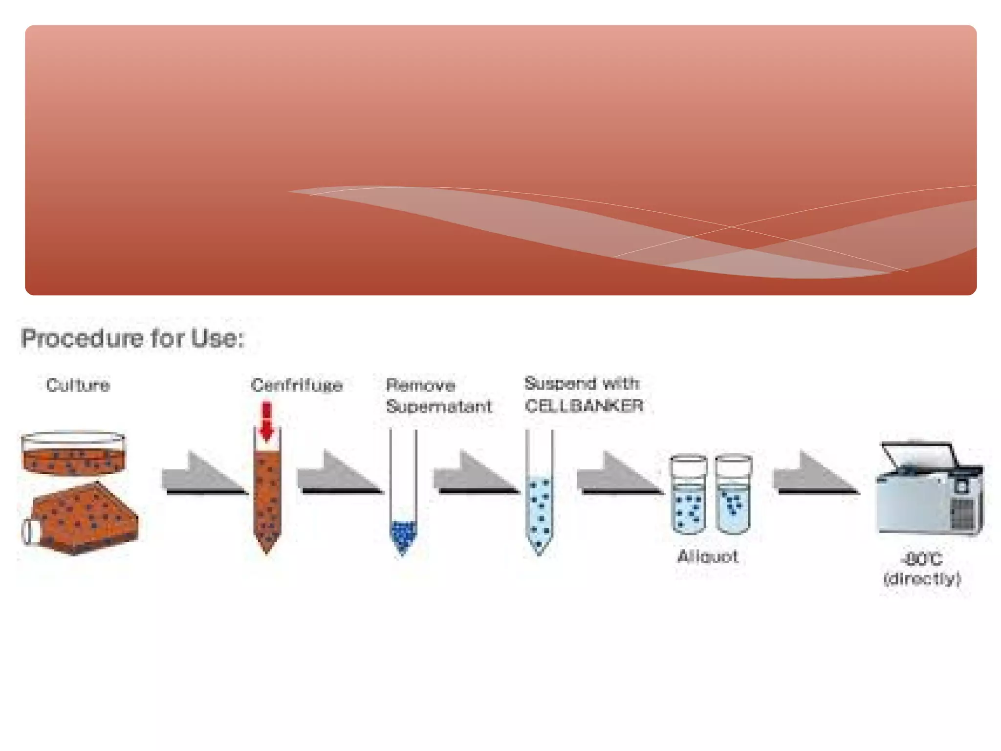 Cell culture introduction | PPT