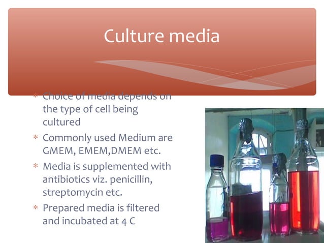 Cell culture introduction | PPT | Biotech and Biomedical Industry ...