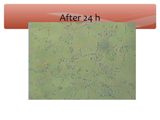 Cell culture introduction | PPT | Biotech and Biomedical Industry ...