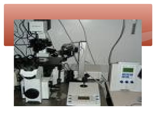 Cell culture introduction | PPT