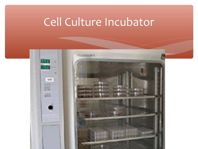 Cell culture introduction | PPT | Biotech and Biomedical Industry ...