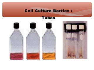 Cell culture introduction | PPT