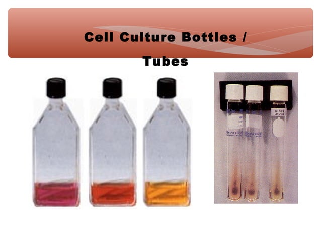 Cell culture introduction | PPT | Biotech and Biomedical Industry ...