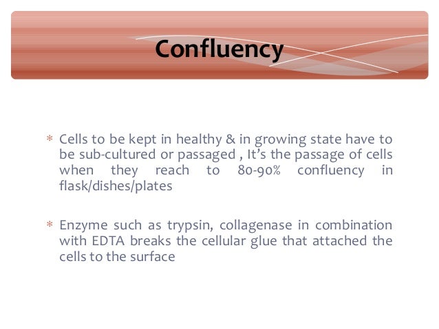 Cell culture introduction