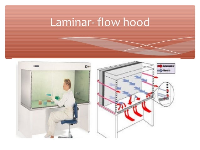 Cell culture introduction