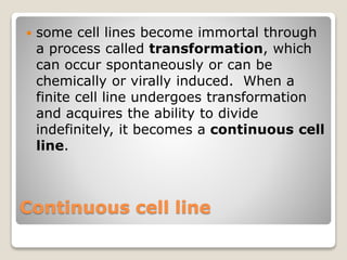 Cell culture | PPTX