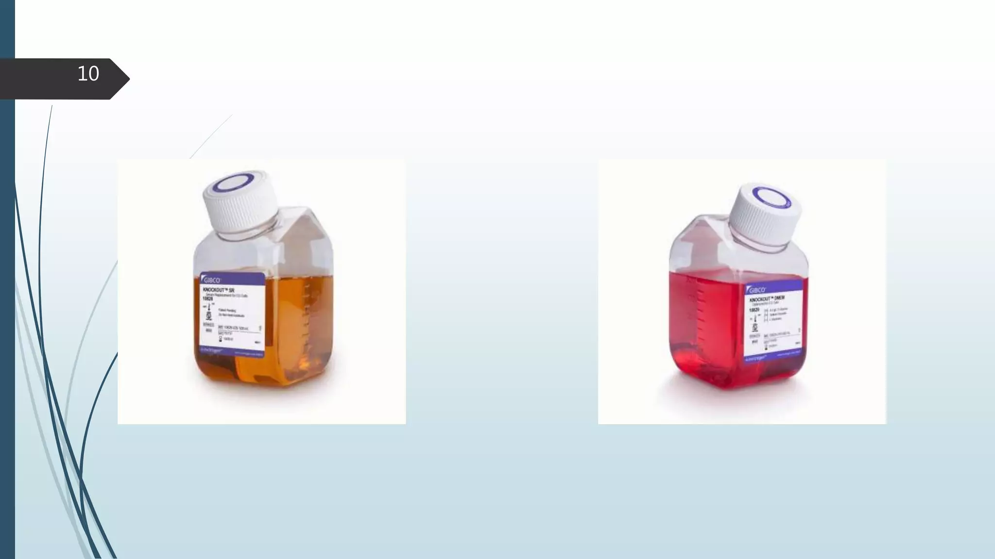 Cell culture media | PPTX