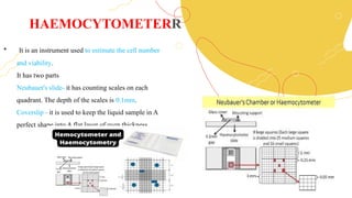Cellular and Molecular Pharmacology- Cell Culture and Its Techniques ...