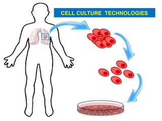 Cell culture technologies | PPTX