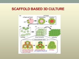 Cell culture technologies | PPTX