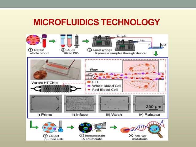 Cell culture technologies | PPTX