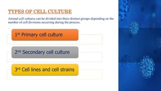Cell culture types and application in vaccine production | PPTX